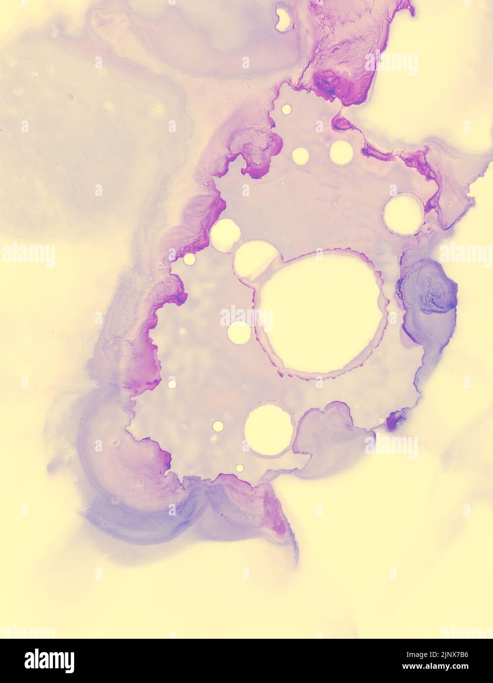 Wedding Invite Design. Yellow Pastel Flow Liquid Stock Photo - Alamy