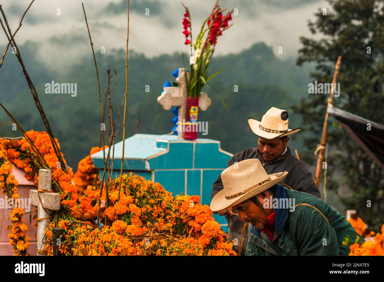 Mixtec indigenous men decorate a tomb at a cemetery during the Day of ...