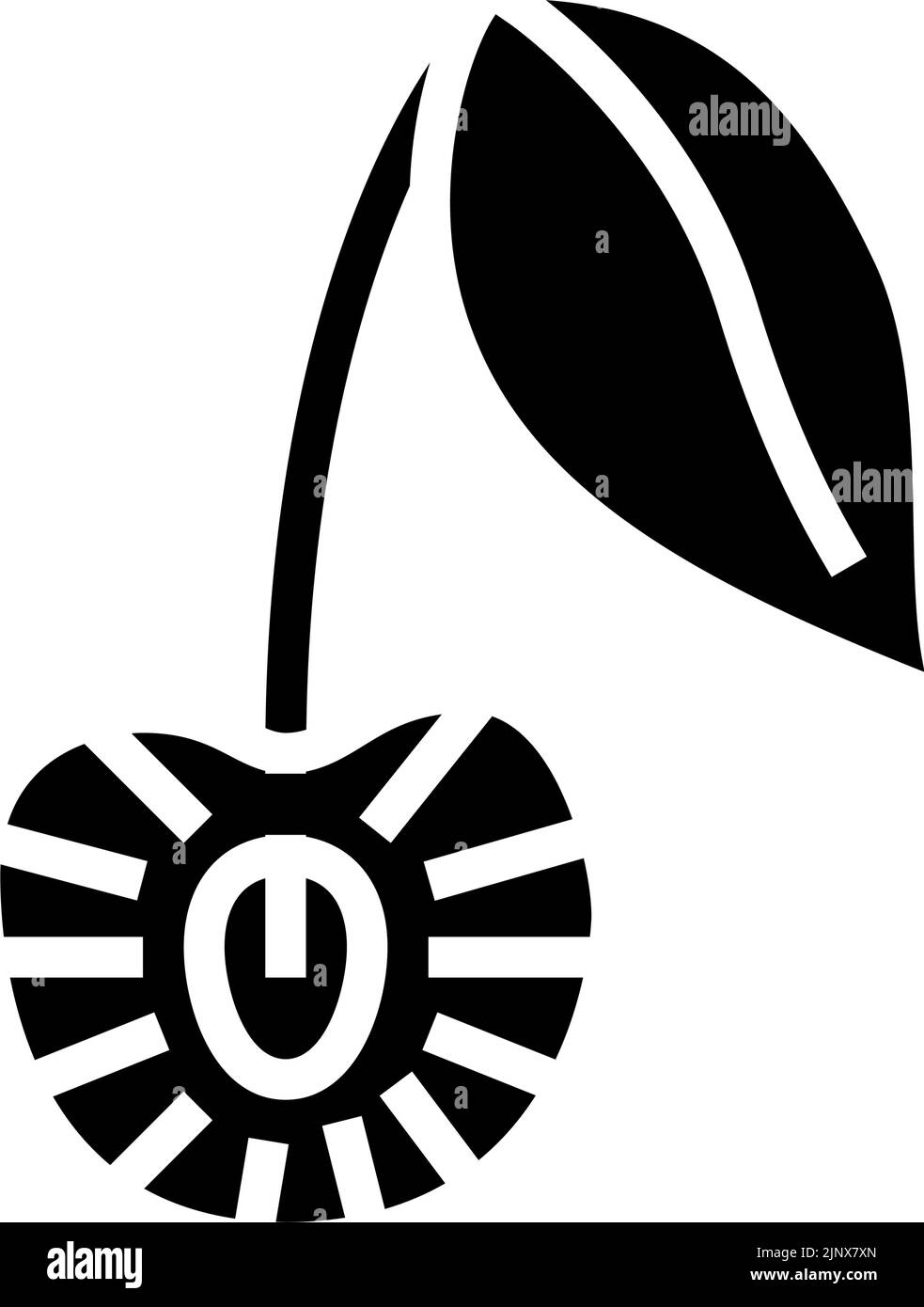 cut cherry glyph icon vector illustration Stock Vector Image & Art - Alamy