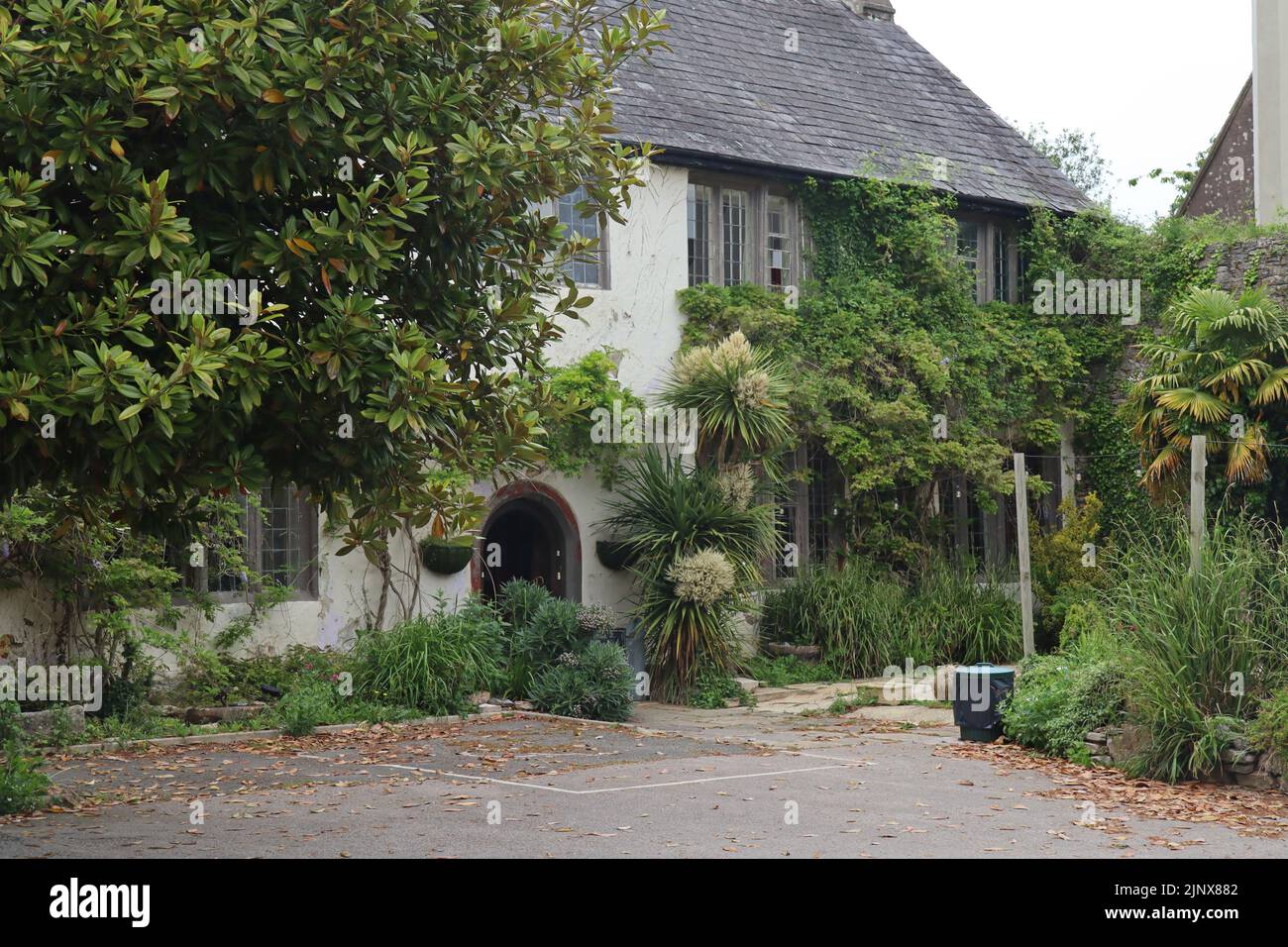 An old cottage overgrown with trees and shrubs in a village in Devon ...
