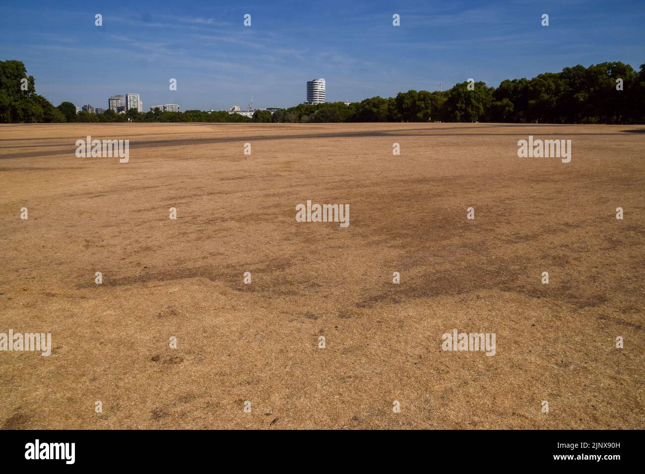 London, UK. 14th August 2022. A parched Hyde Park as a drought is ...