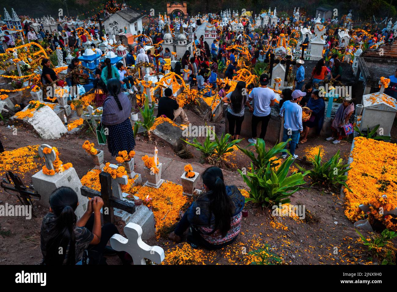 Mixtec indigenous people take part in the Day of the Dead celebrations ...