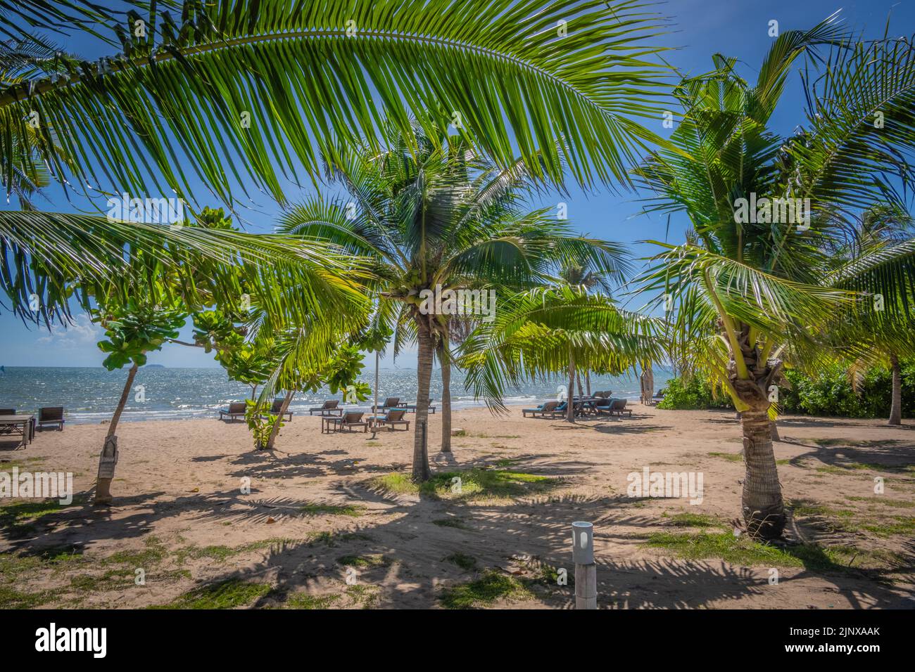 Bacco Beach Italian Restaurant Stock Photo - Alamy