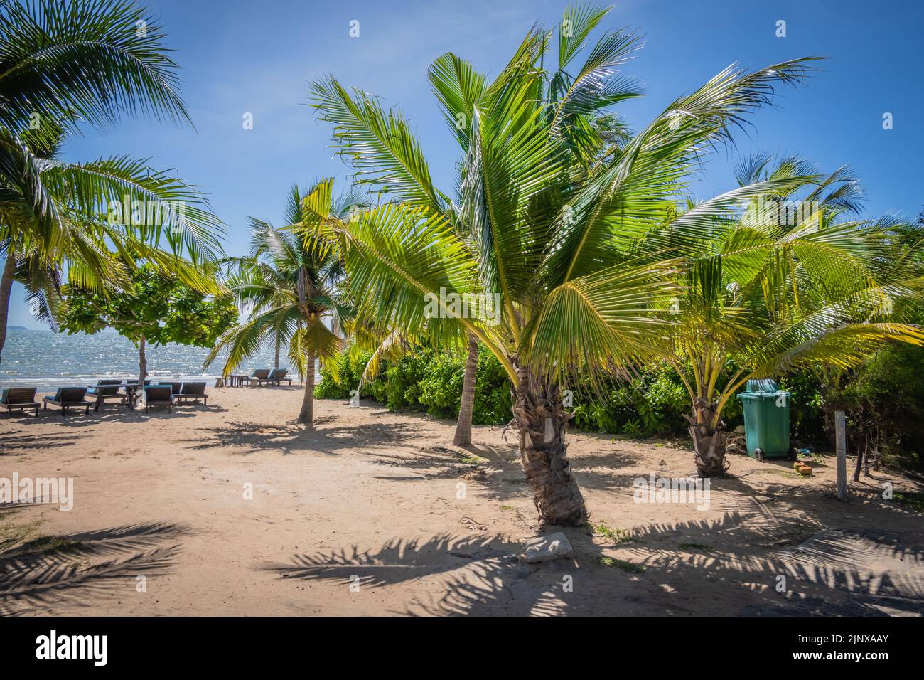 Bacco Beach Italian Restaurant Stock Photo - Alamy