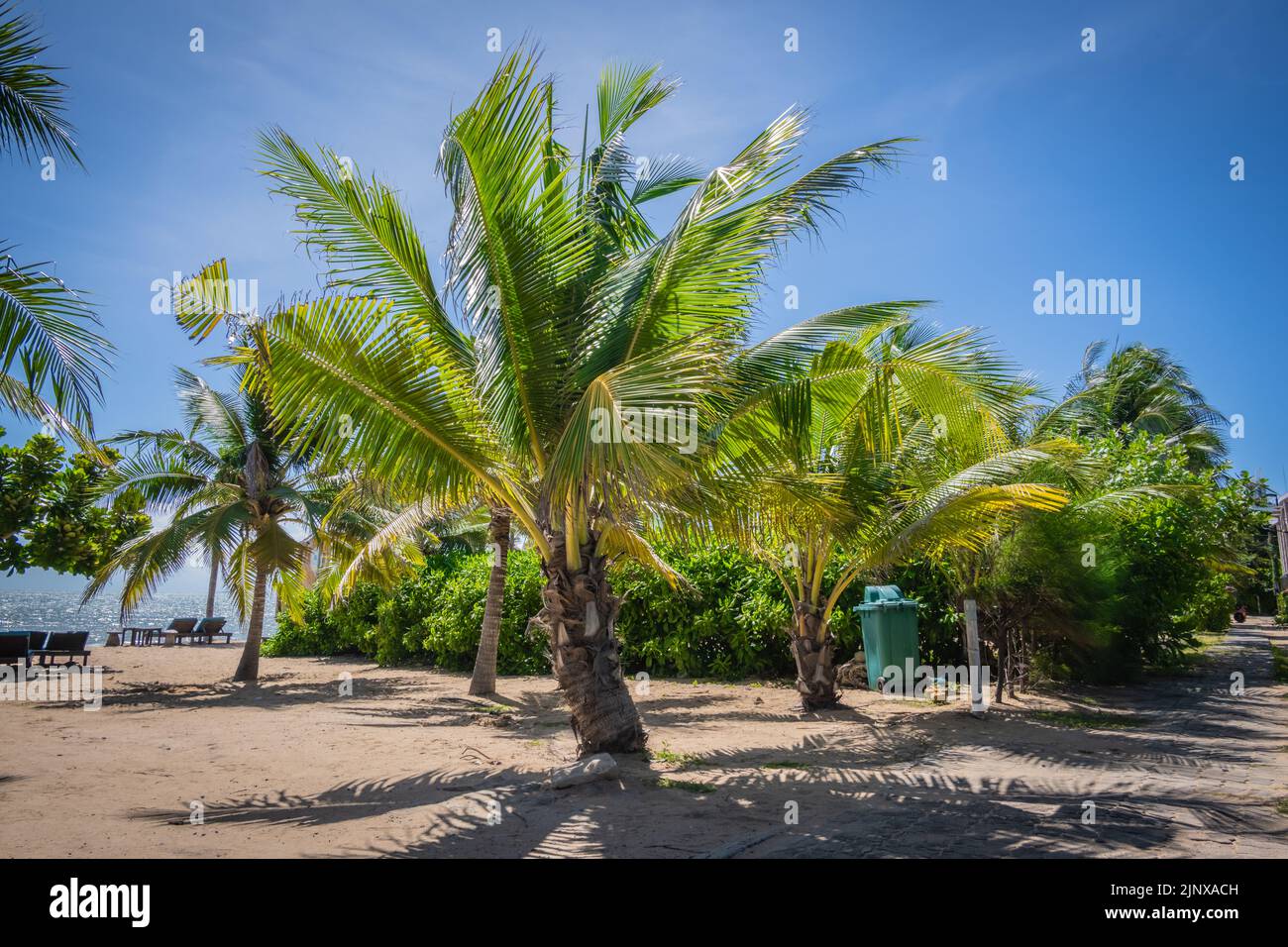 Bacco Beach Italian Restaurant Stock Photo - Alamy