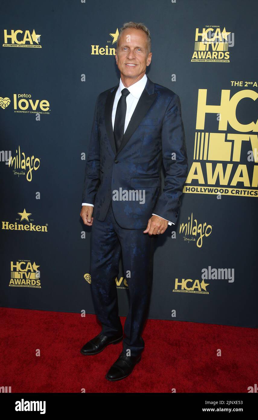 Beverly Hills, Ca. 13th Aug, 2022. Patrick Fabian at the 2nd Annual HCA ...