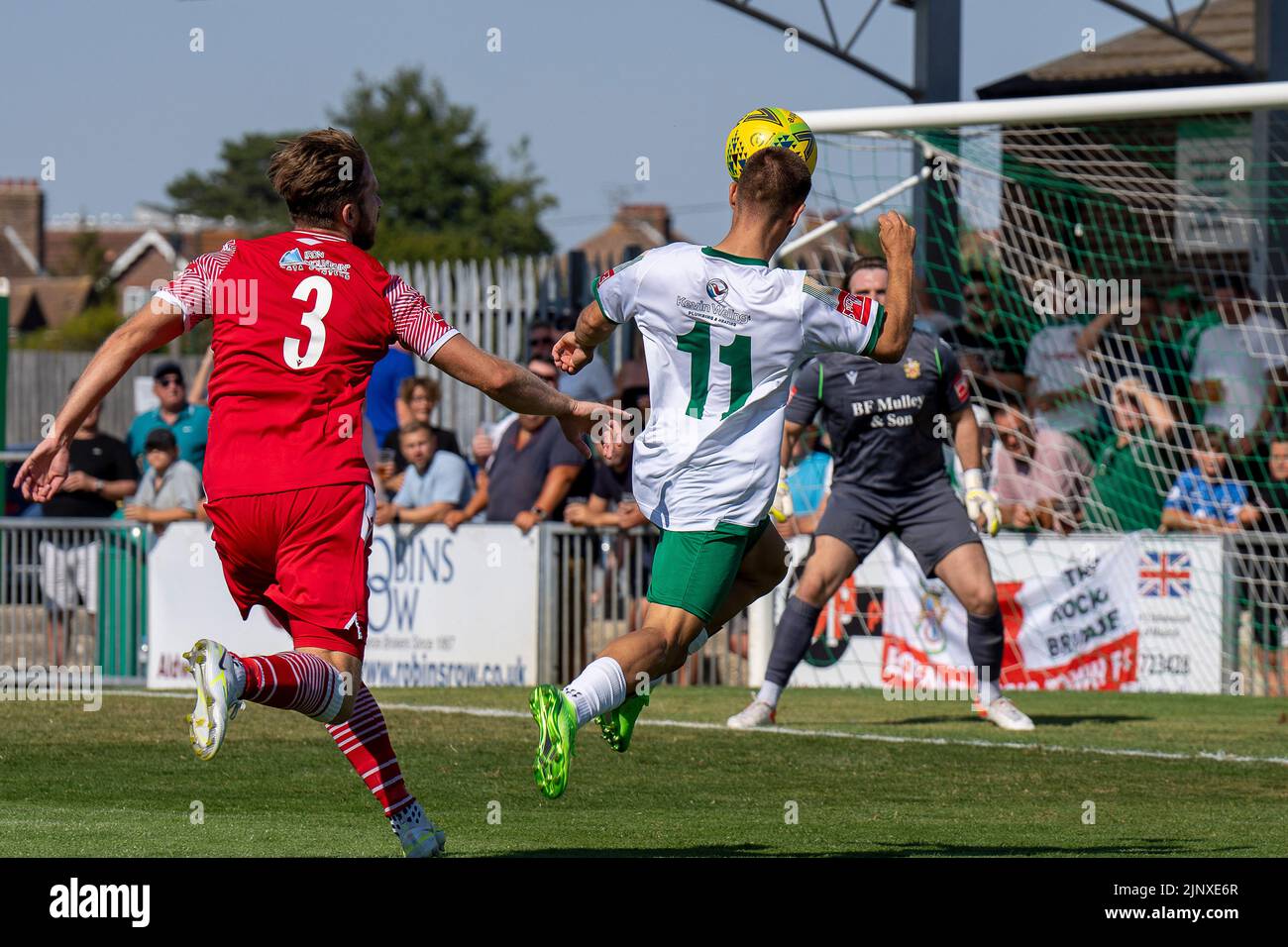 Alfie bridgman hi-res stock photography and images - Alamy