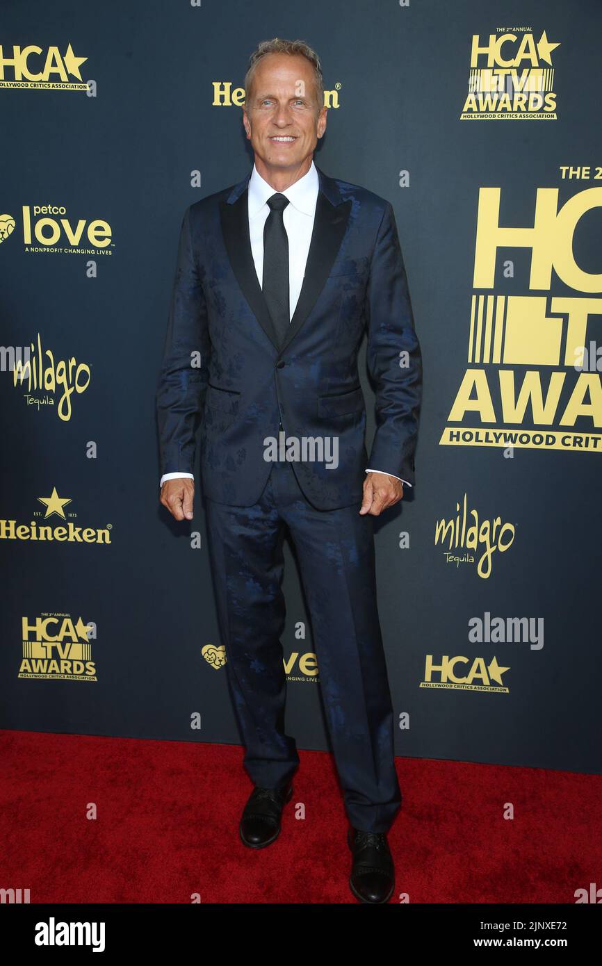 Beverly Hills, Ca. 13th Aug, 2022. Patrick Fabian at the 2nd Annual HCA ...