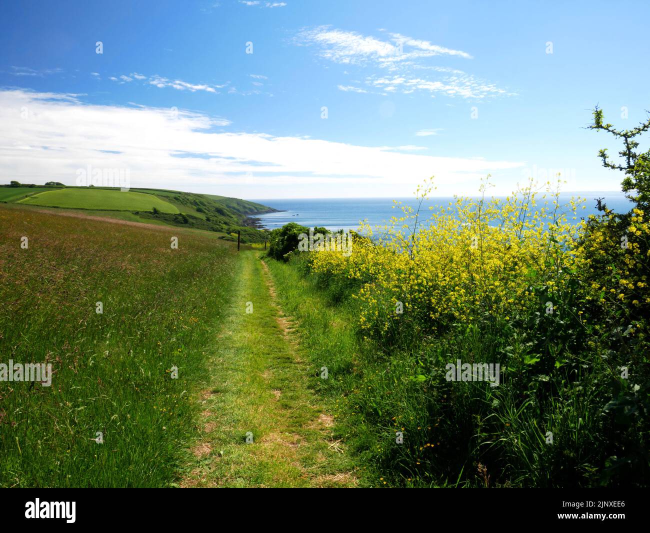 The coastal path between Polkerris and Gribbin near Fowey, Cornwall ...