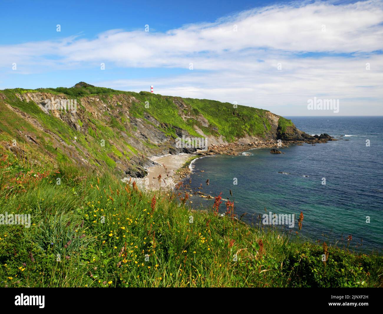 The coastal path at the Little Gribbin, near Gribbin Head, Fowey ...