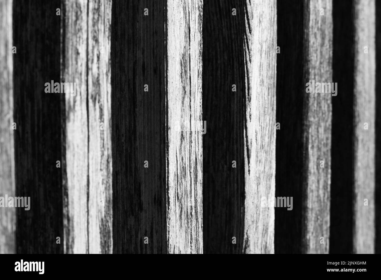 Modern contemporary vertical wooden slats hi-res stock photography and ...