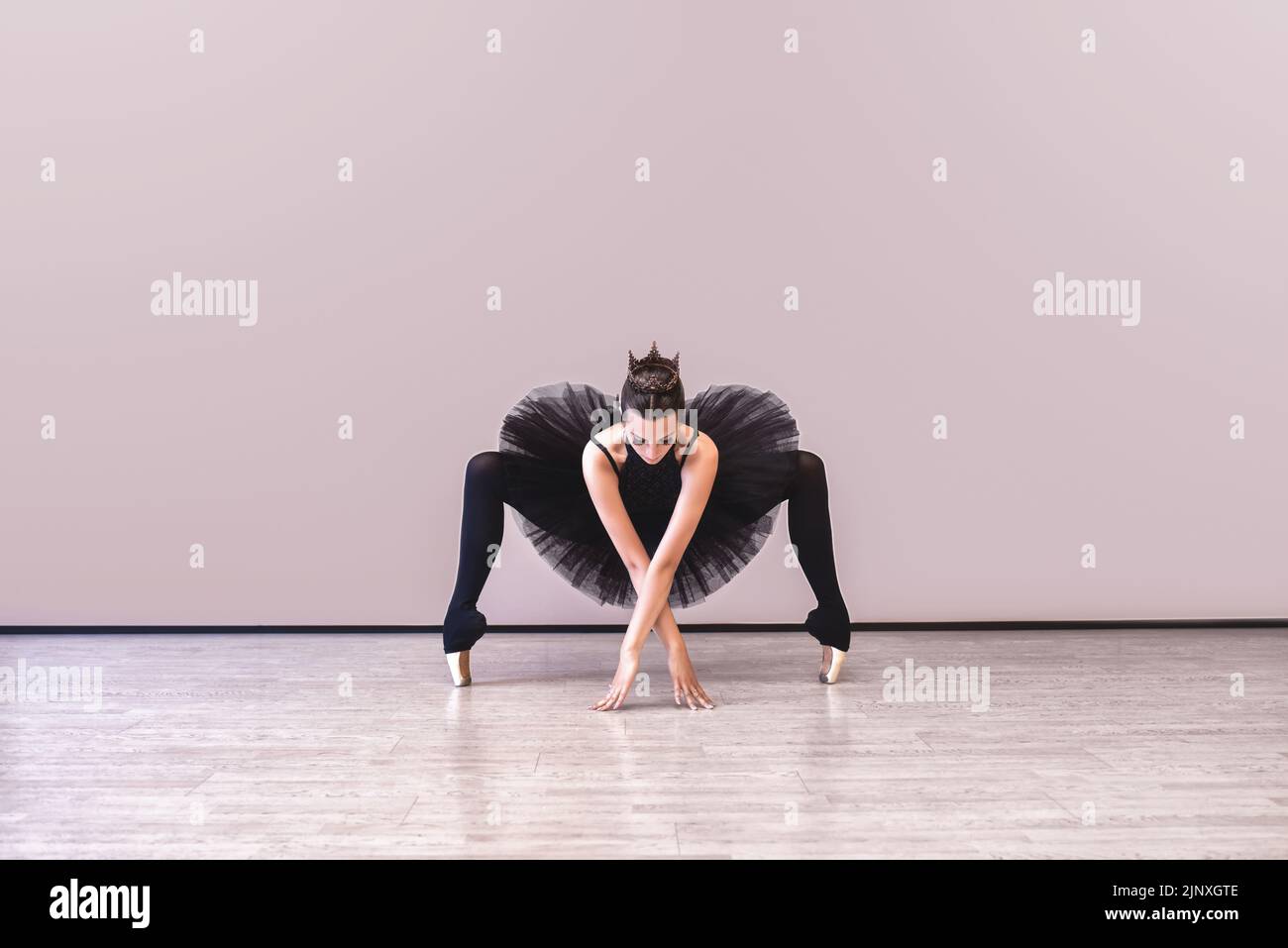 graceful ballerina in black swan dress against wgite background. Young ...