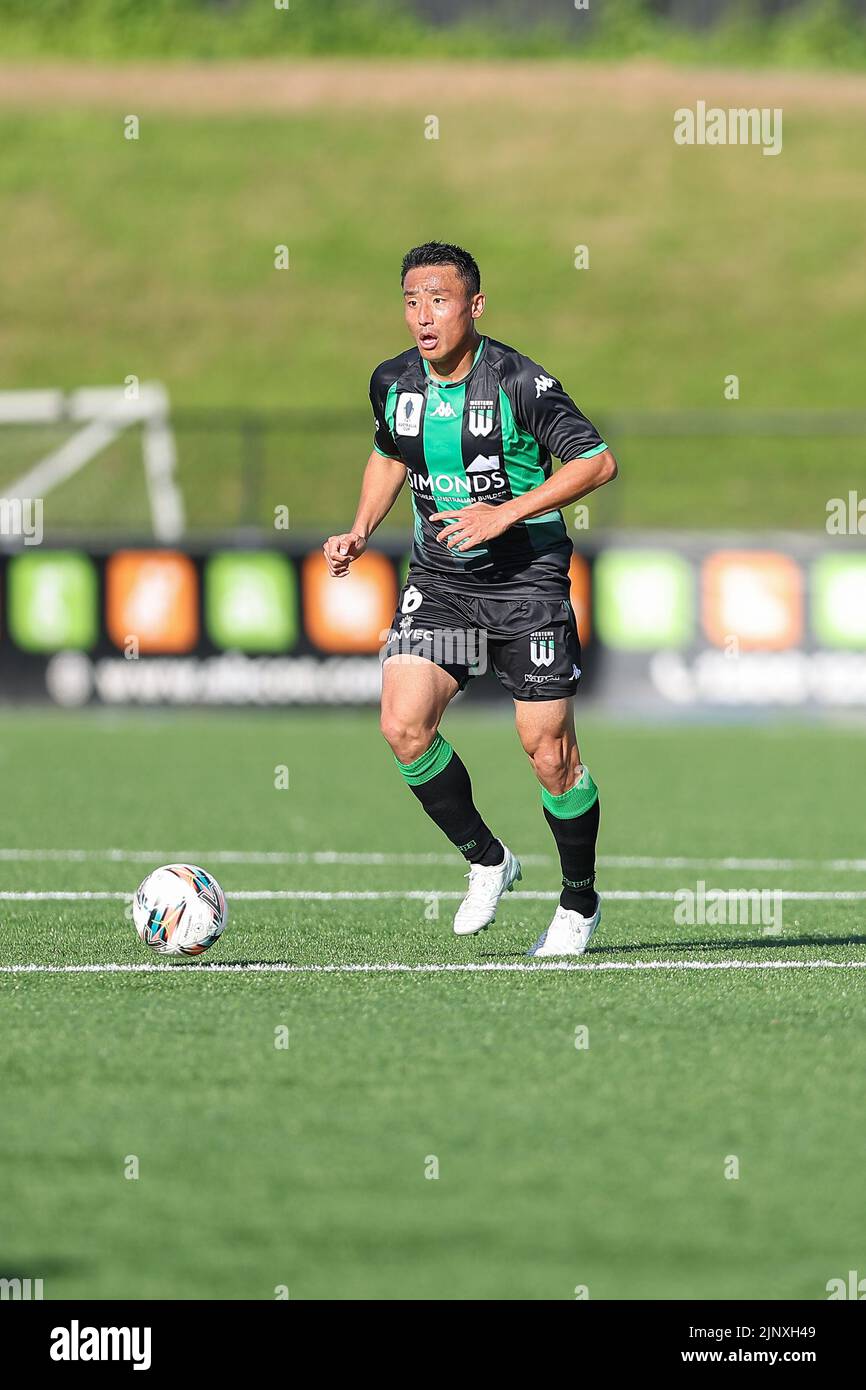 14 August 2022, Sydney United Sports Centre, Sydney Australia ...