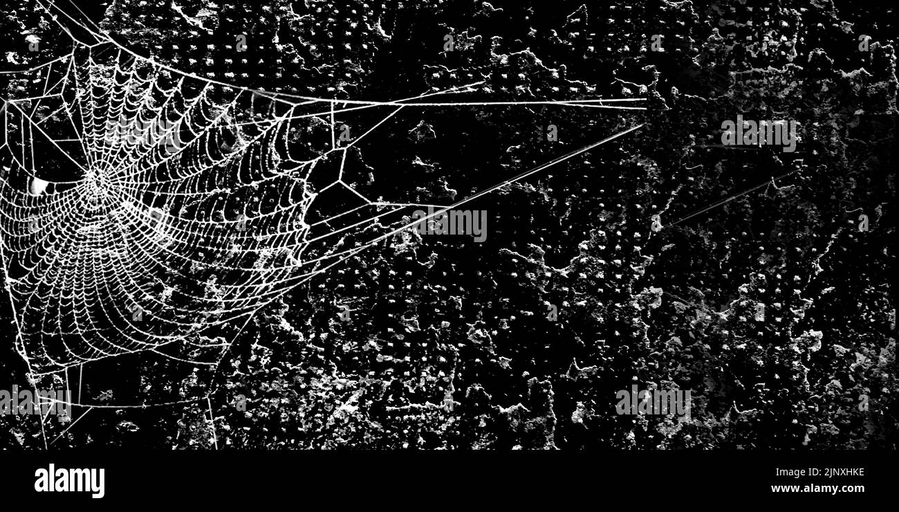Spider web design Black and White Stock Photos & Images - Alamy