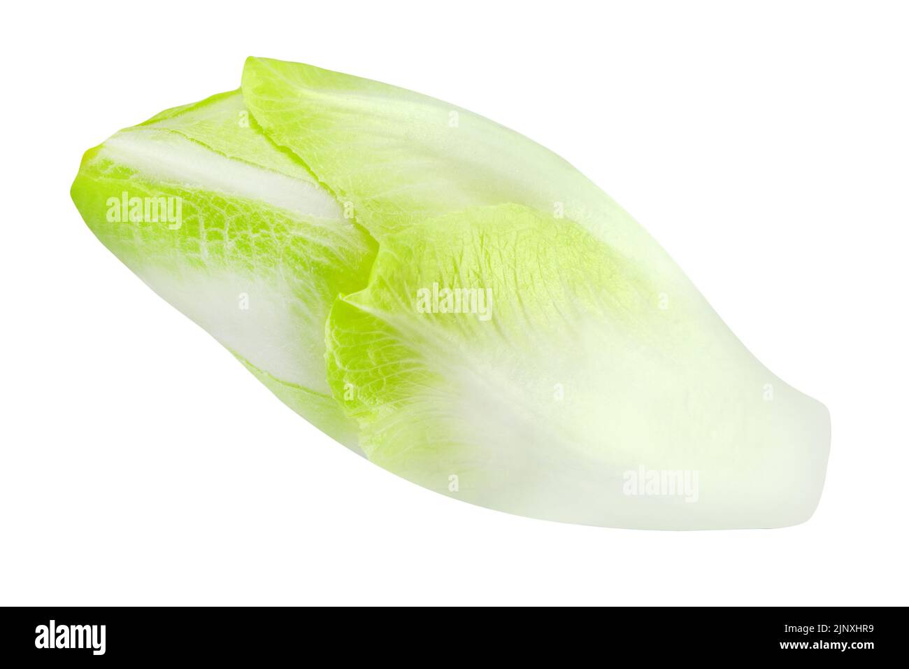 1 chicoree hi-res stock photography and images - Alamy