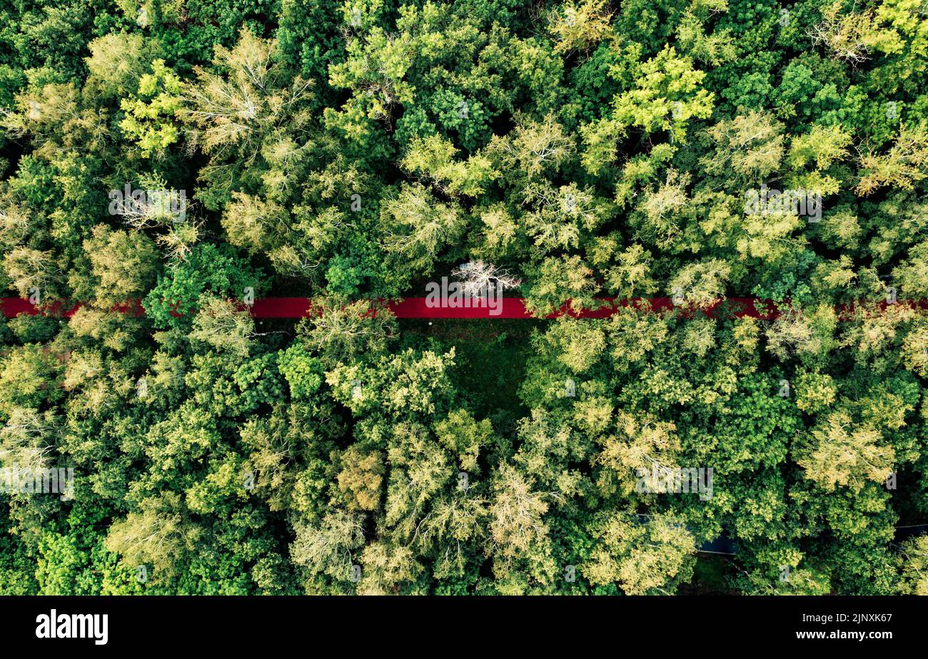 Red soft jogging track in alley park, top drone shot in sunny summer ...