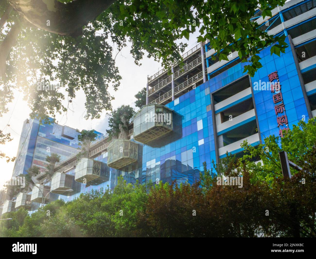 Modern architecture of a building framed in trees from across the ...