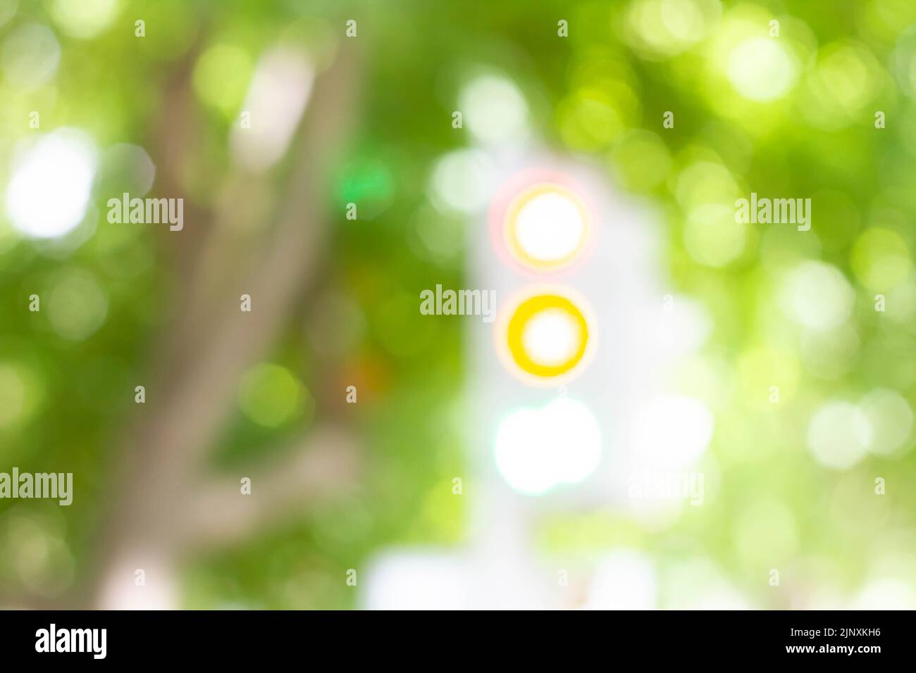 Abstract background. Background in blur out of focus. Texture in shades of green. Bokeh in the ...