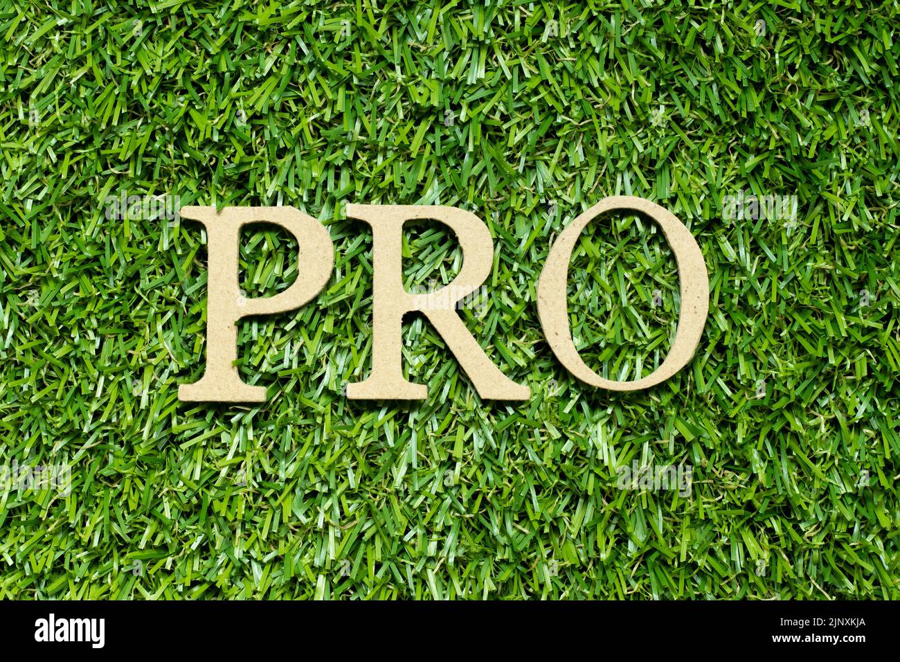 Wood alphabet letter in word pro on green grass background Stock Photo ...
