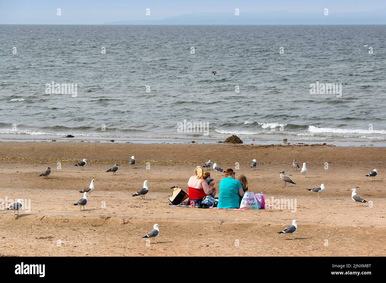 Ayr, UK. 14th Aug, 2022. As the exceptionally warm weather continues ...