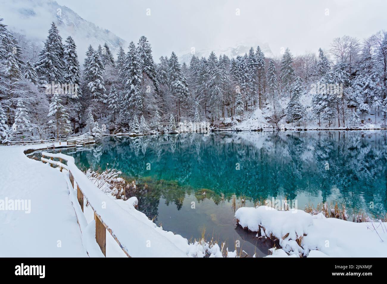 Lake Blausee in Bernes Highlands, Alps, Switzerland Stock Photo - Alamy