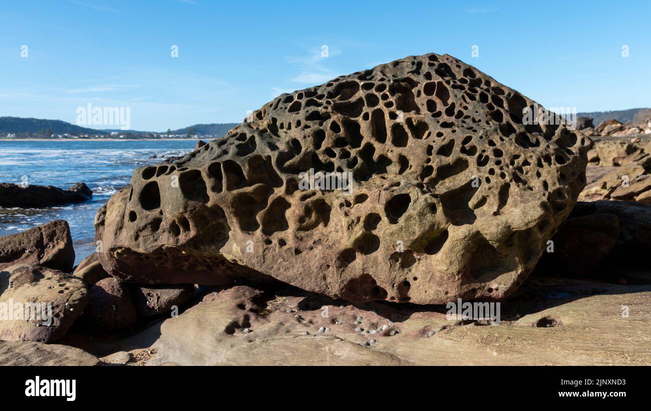 A large rock covered with holes where the weather and sea have eroded ...