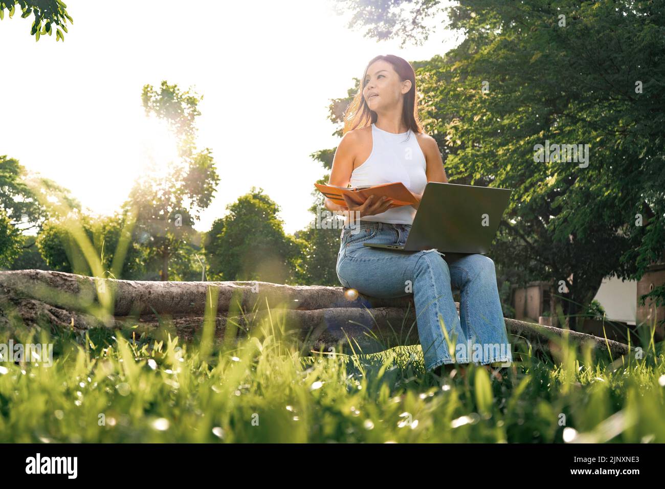 Laptop writing hi-res stock photography and images - Alamy