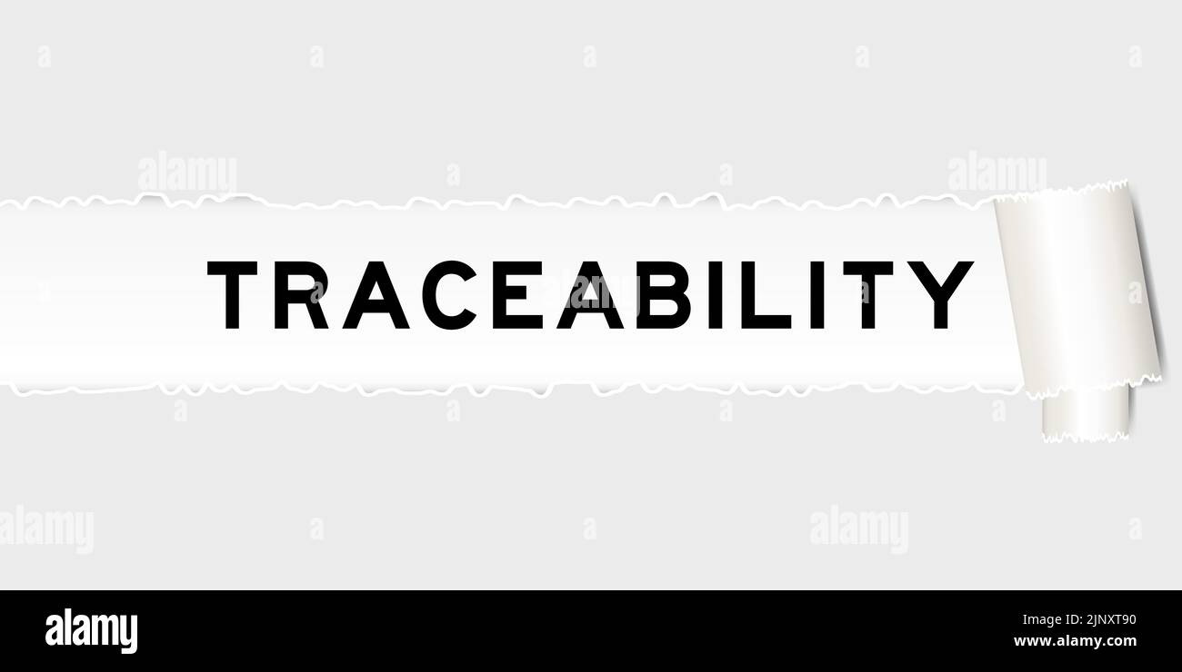 Ripped gray paper background that have word traceability under torn ...