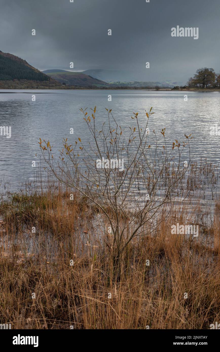Bassenthwaite village hi-res stock photography and images - Alamy