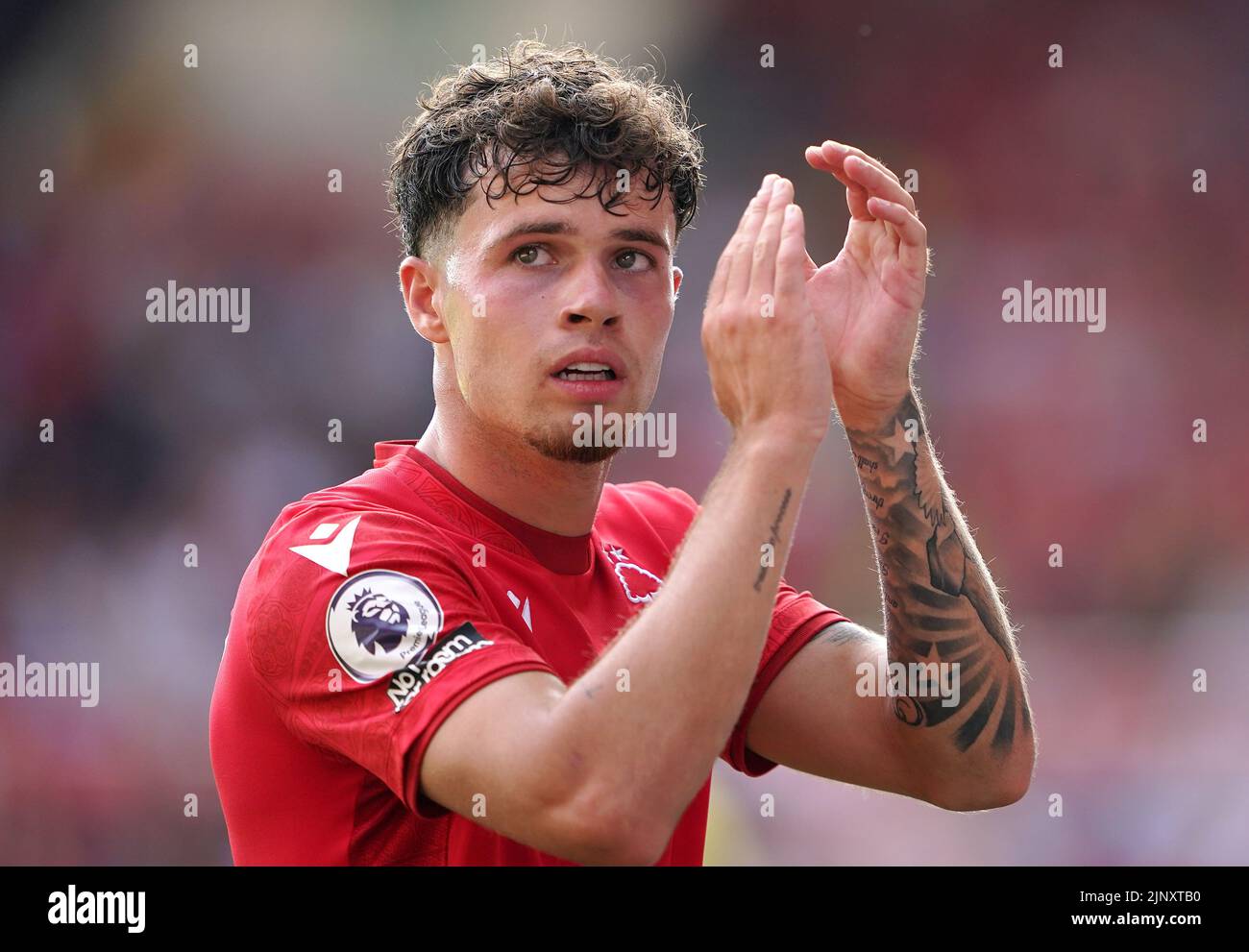 Neco williams forest hi-res stock photography and images - Alamy