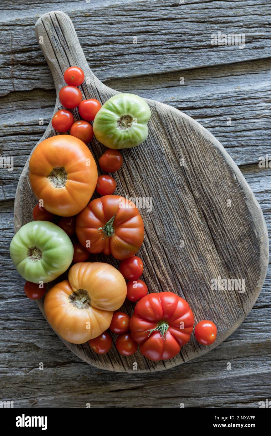 Top down view of tomatoes of different shapes and sizes on a rustic ...