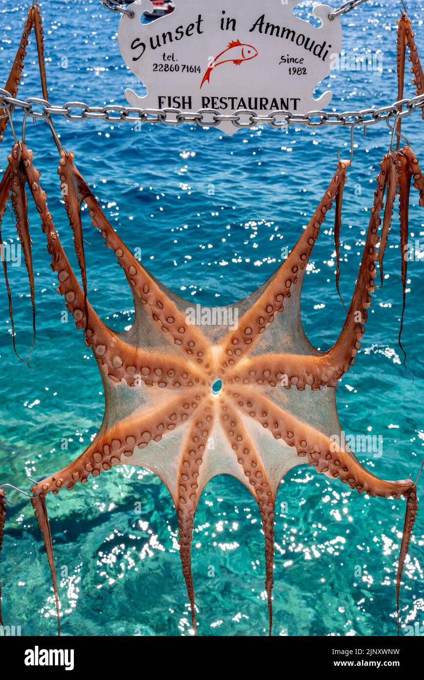 Squid/Octopus Hanging Up To Dry Outside A Restaurant In Ammoudi Bay ...