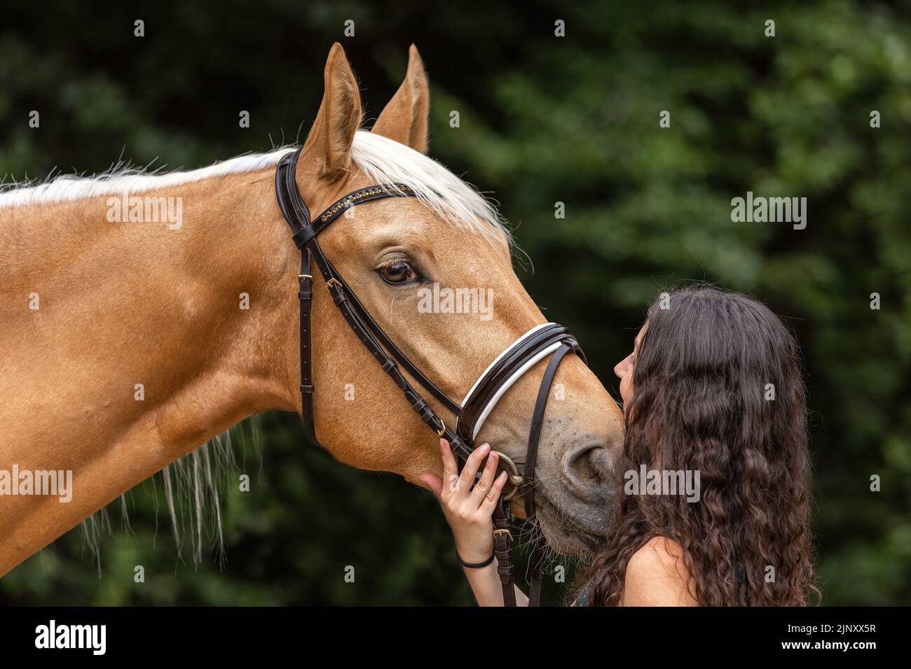 Portrait of a young woman cuddle with her horse. Equestrian and horse ...