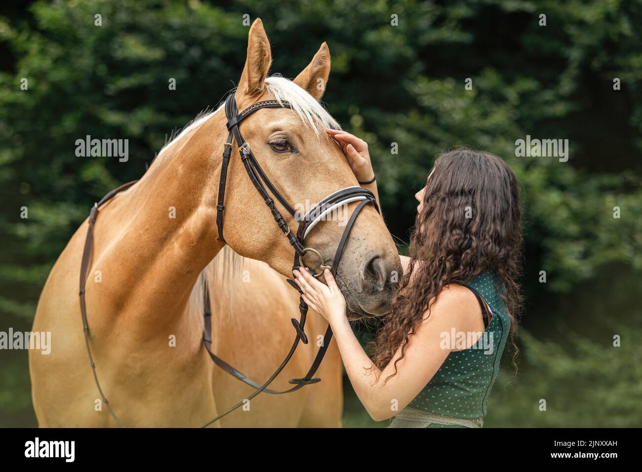Portrait of a young woman cuddle with her horse. Equestrian and horse ...
