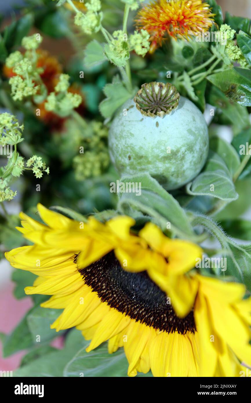 Summer flower arrangement: poppy pod, sunflower and safflower Stock ...