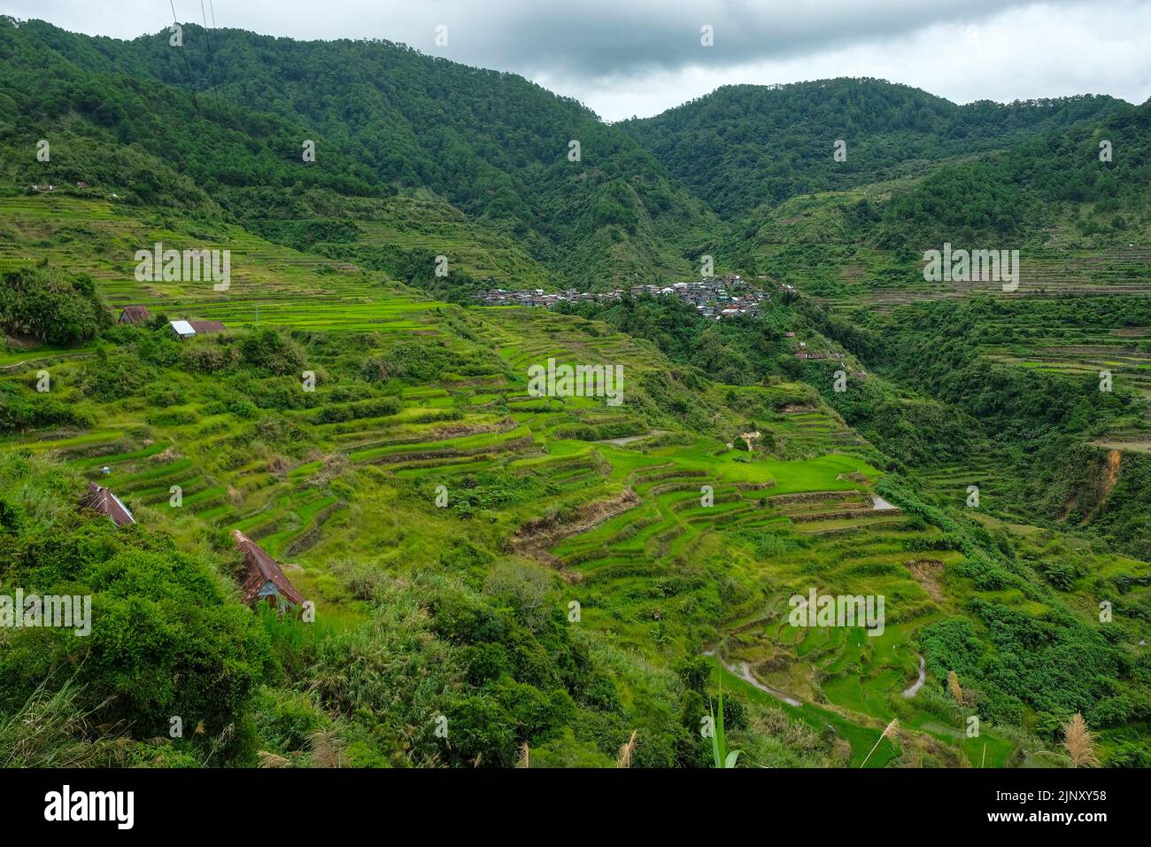 Rice terraces at Maligcong in northern Luzon, Philippines Stock Photo ...