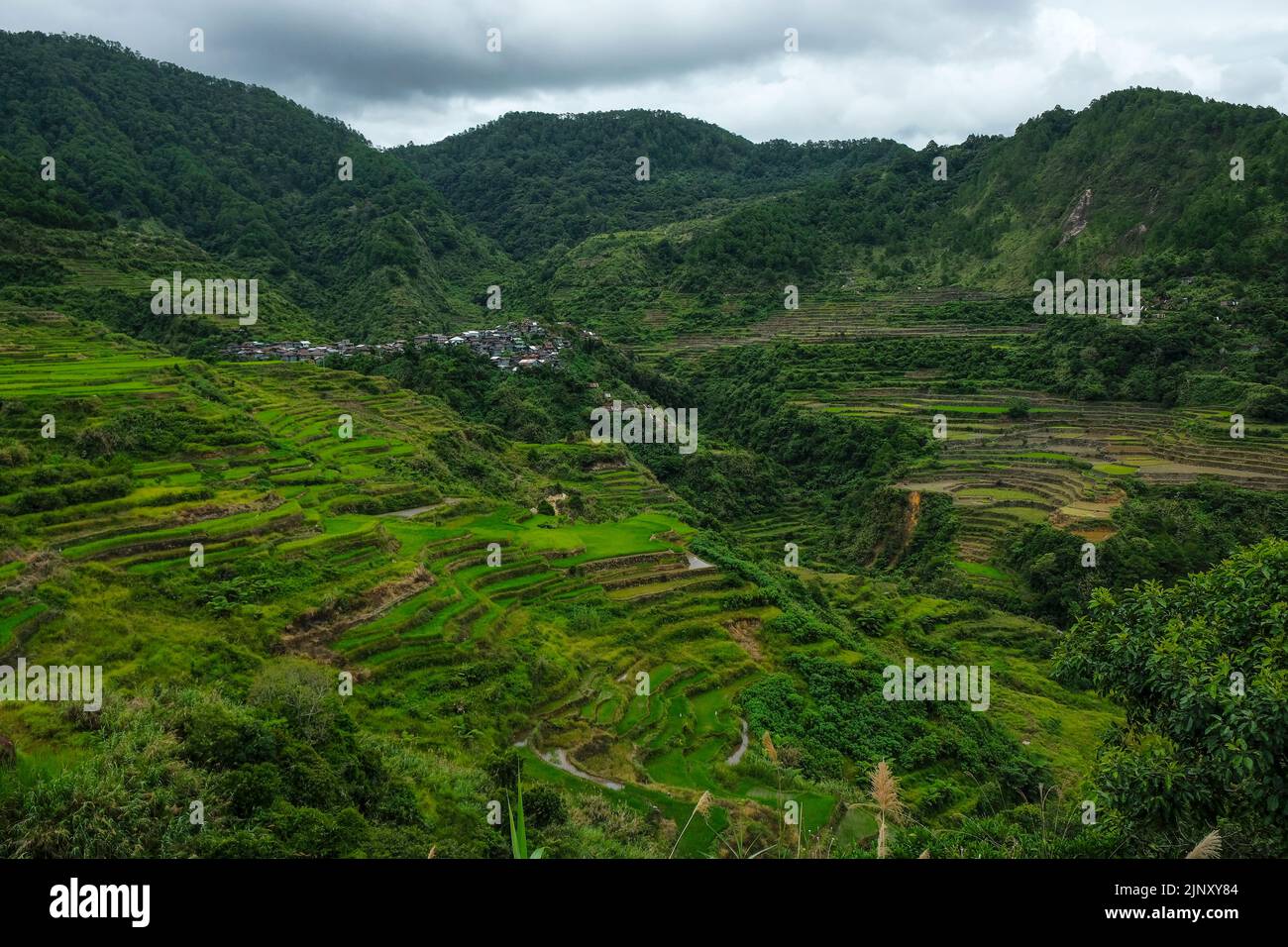Maligcong rice terraces in philippines hi-res stock photography and ...