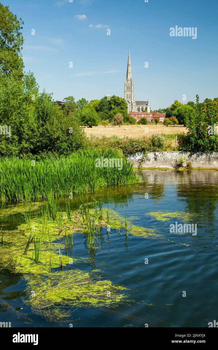 Water meadows in wiltshire hi-res stock photography and images - Alamy