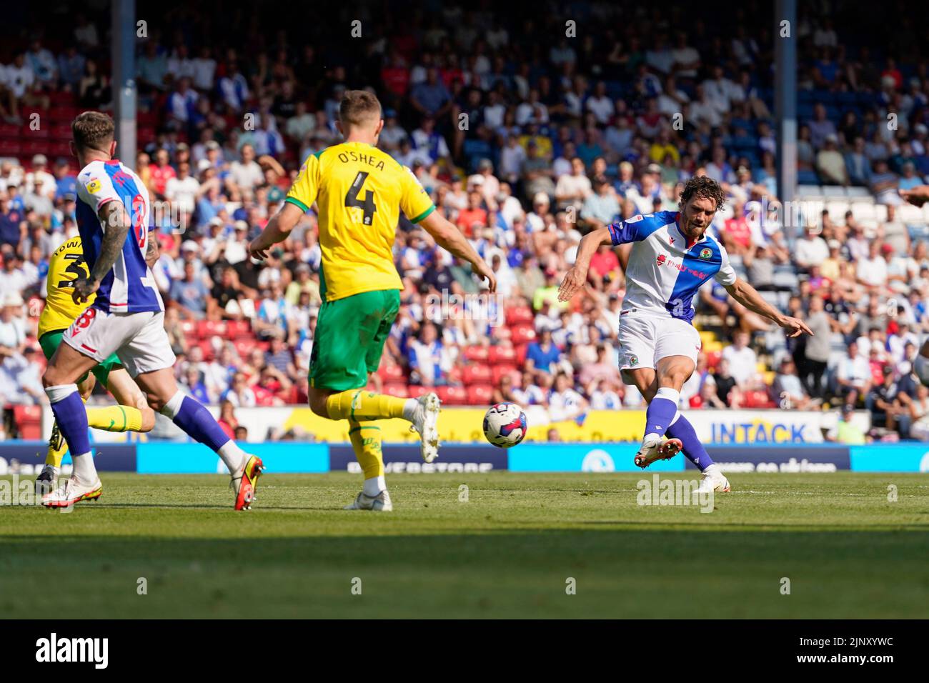Sam Gallagher #9 of Blackburn Rovers drives homes his sides second goal ...