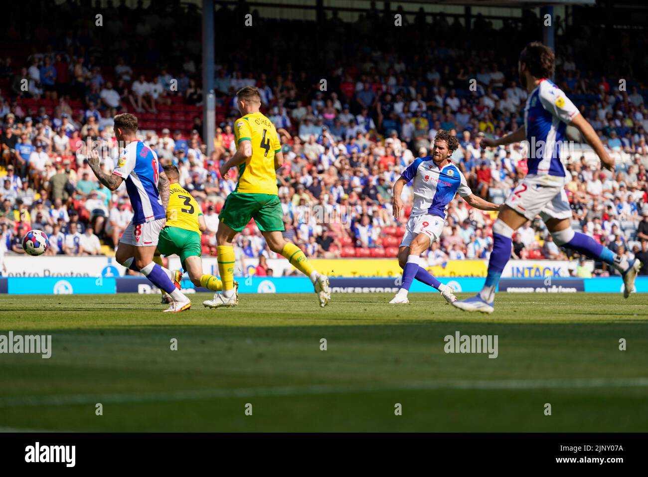 Sam Gallagher #9 of Blackburn Rovers drives home his sides second goal ...