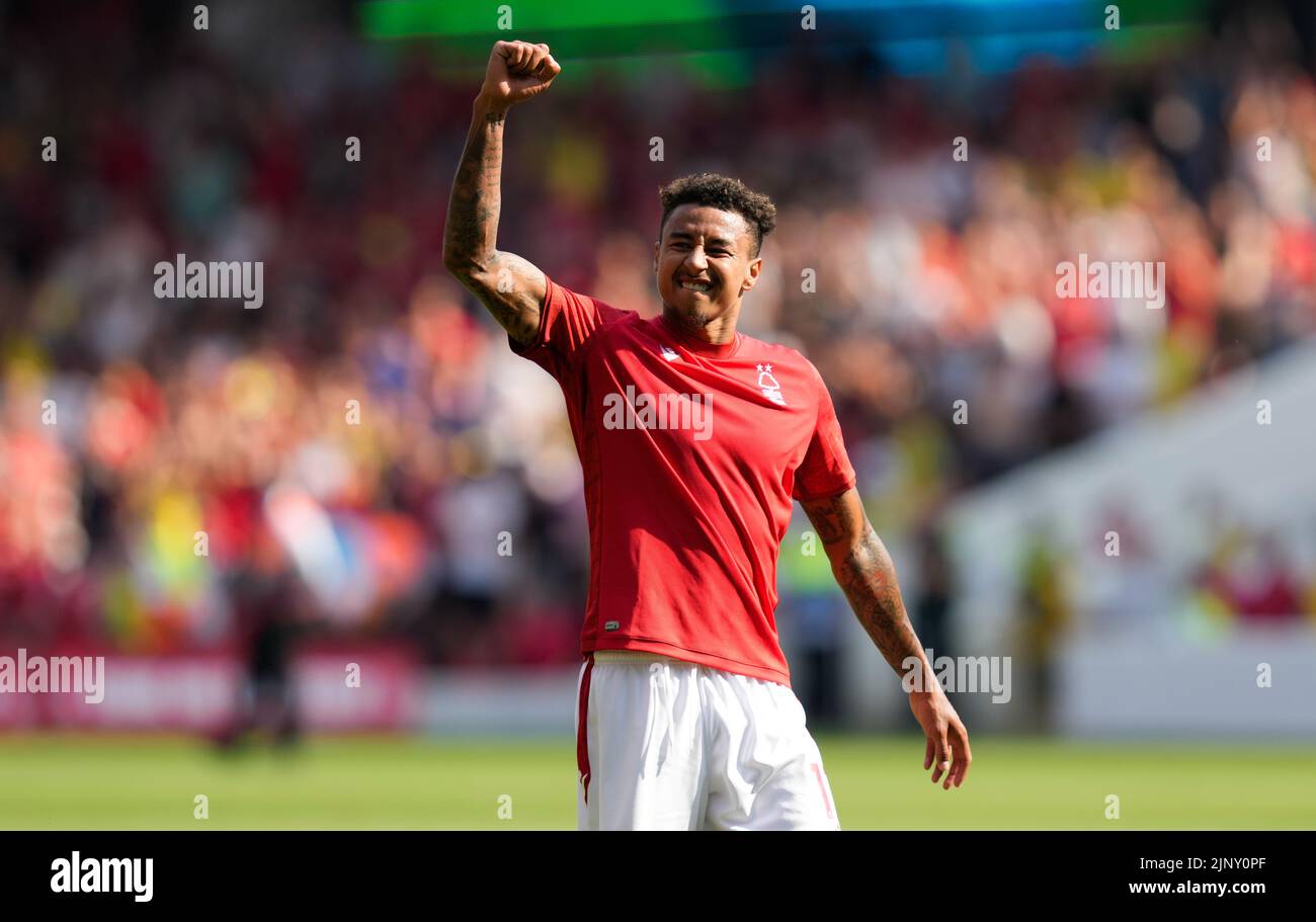 Jesse lingard forest hi-res stock photography and images - Alamy