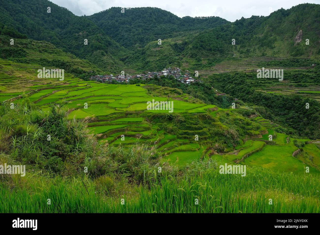 Rice terraces at Maligcong in northern Luzon, Philippines Stock Photo ...