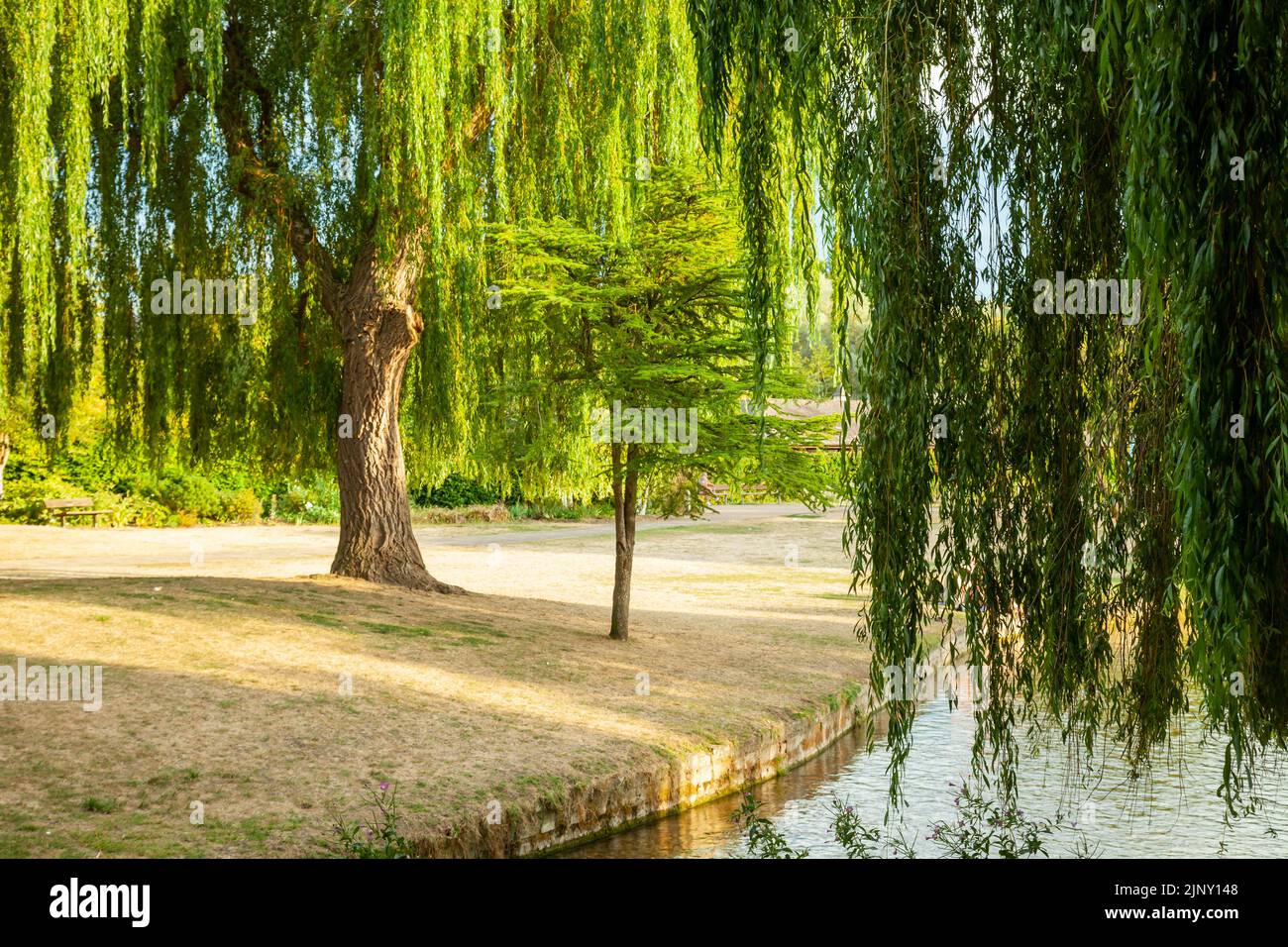 Summer afternoon at Queen Elizabeth Gardens in Salisbury, Wiltshire ...