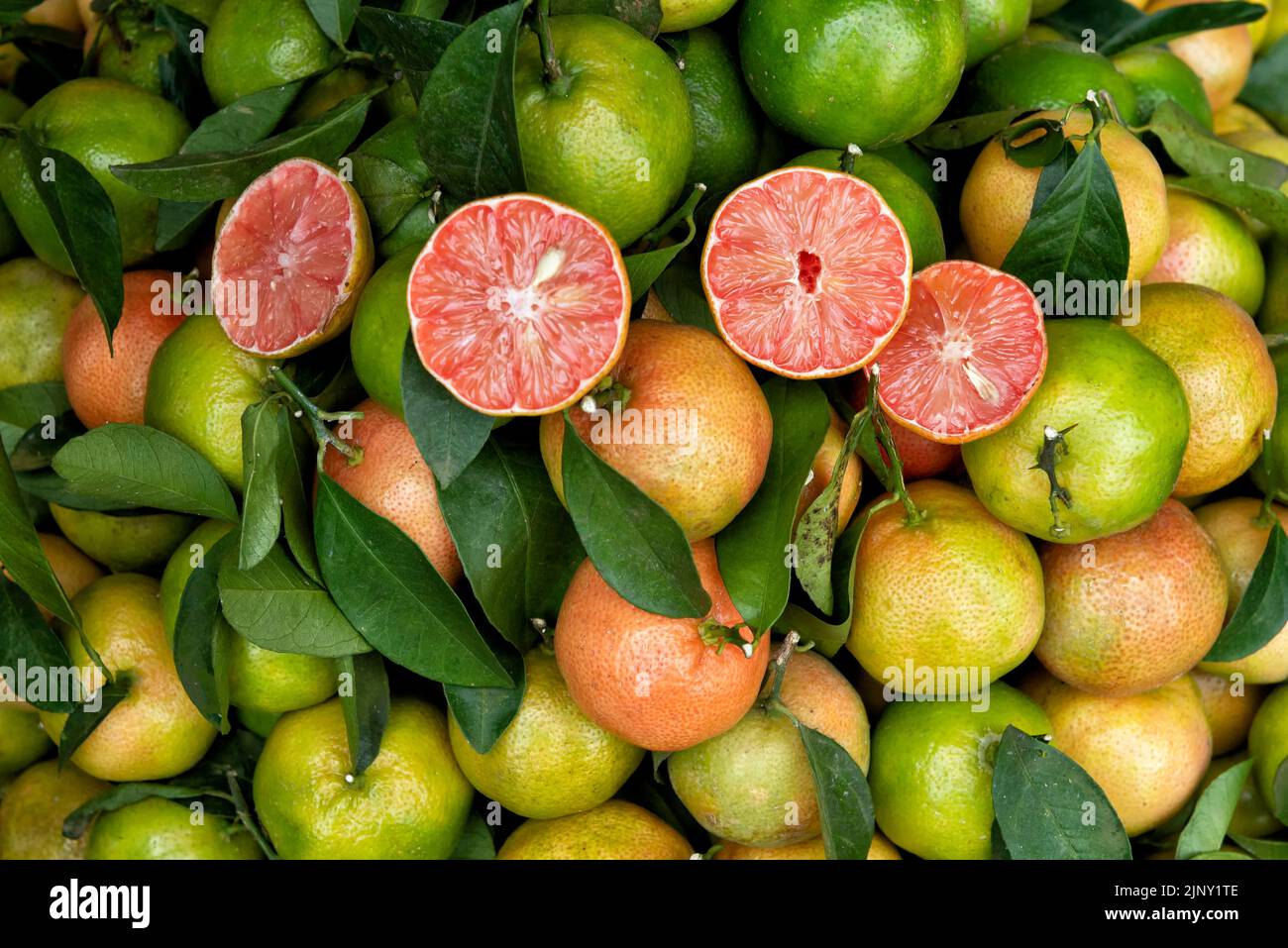 Fresh mandarines tangerine clementine hi-res stock photography and ...