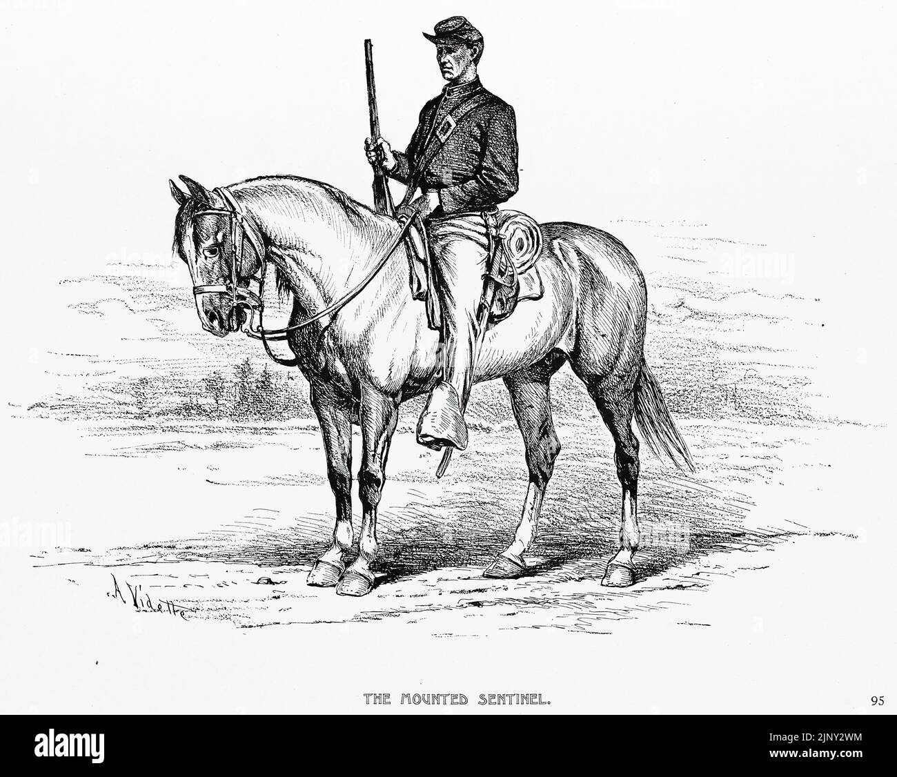 The Mounted Sentinel. A Union Army cavalry vidette. 19th century ...