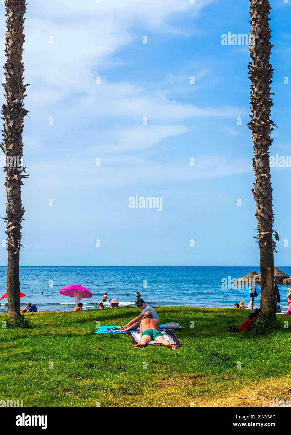 Tourists lying under a palm tree on one of the beaches of Malaga on a ...