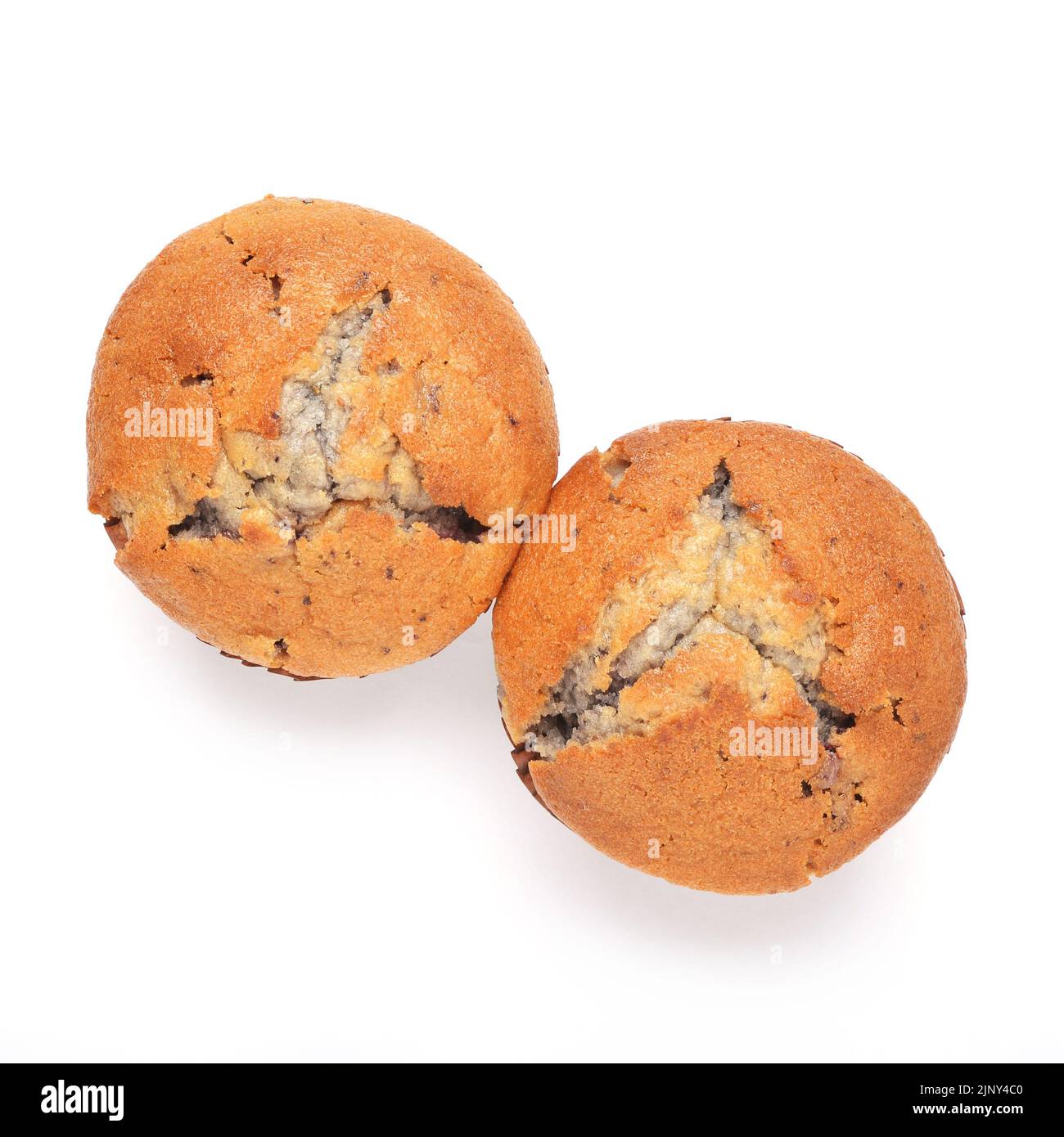 Eating party Cut Out Stock Images & Pictures - Alamy