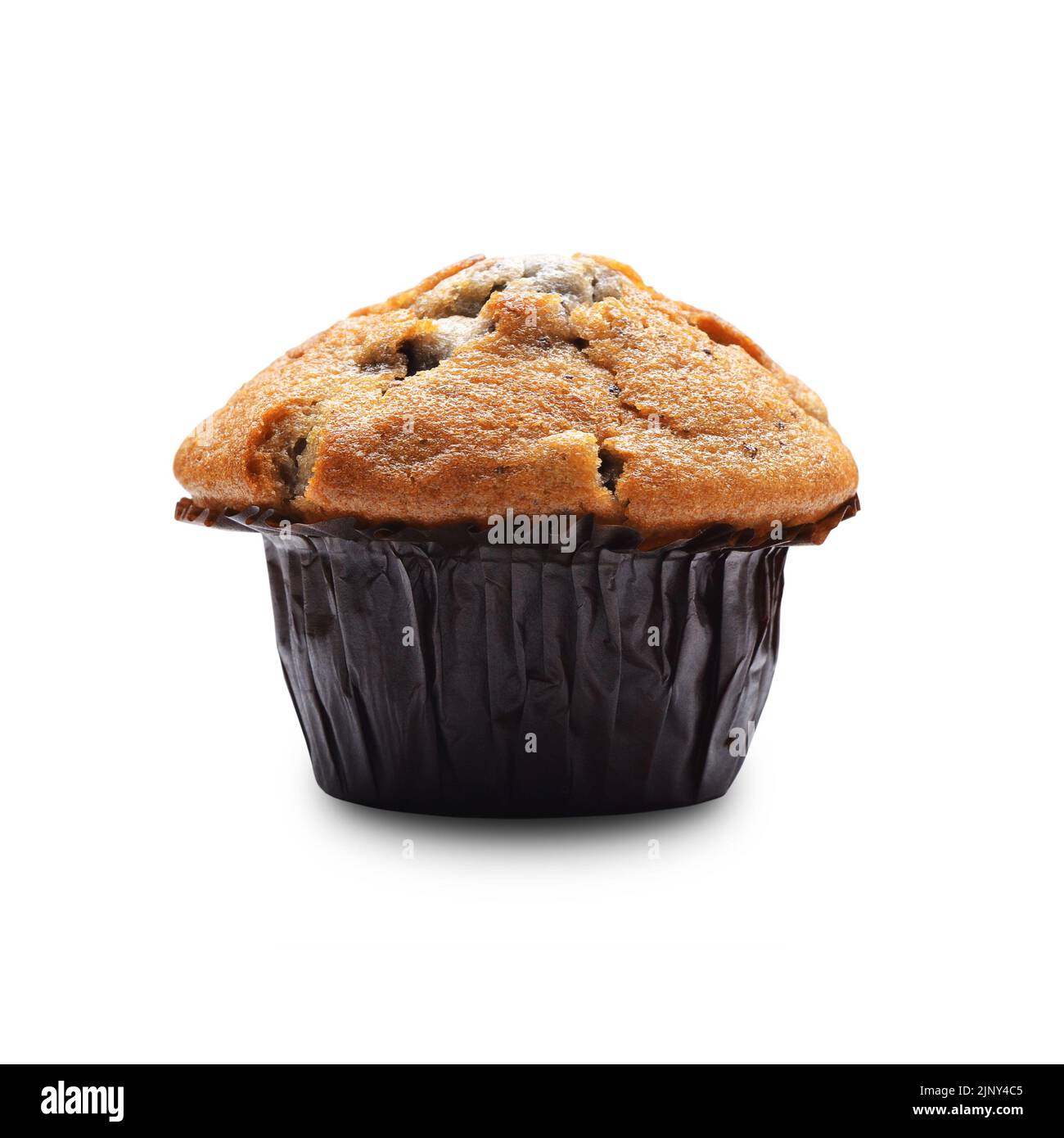 Blueberry muffin from side isolated cut out on white Stock Photo - Alamy