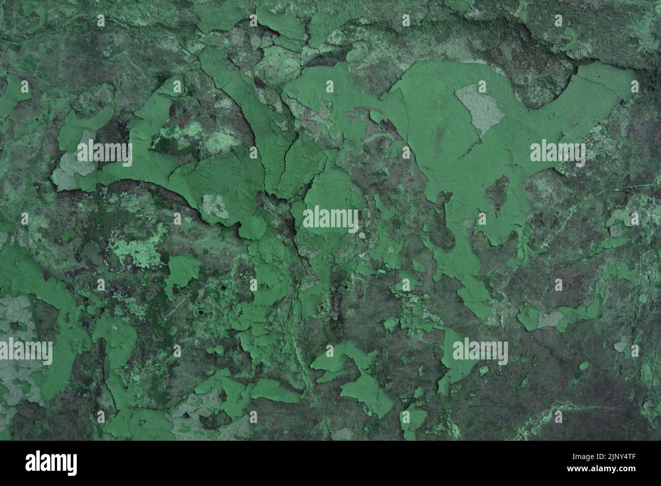 Texture plaster wall, texture map Stock Photo - Alamy