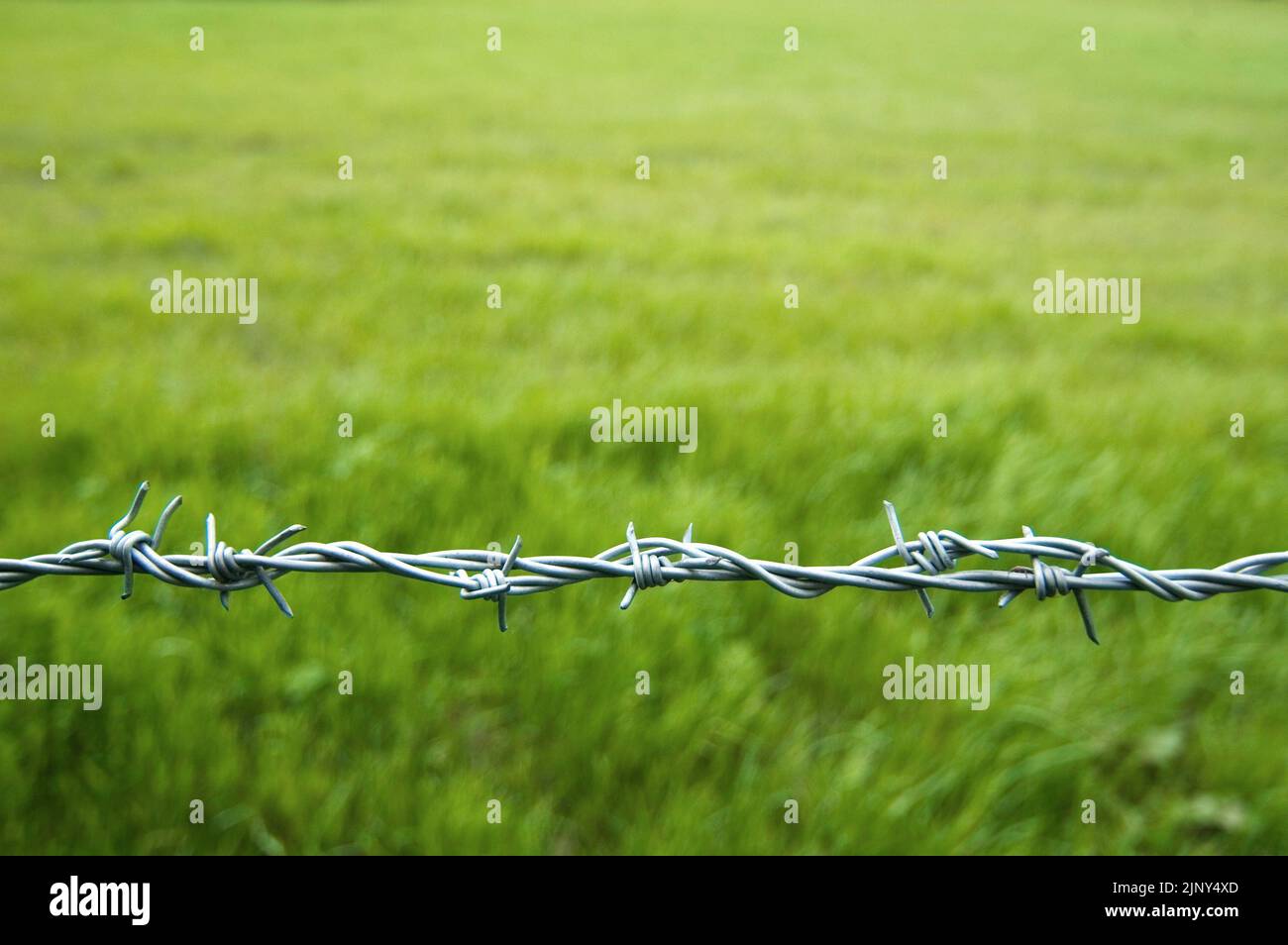 Barbed wire boundary farm hi-res stock photography and images - Alamy